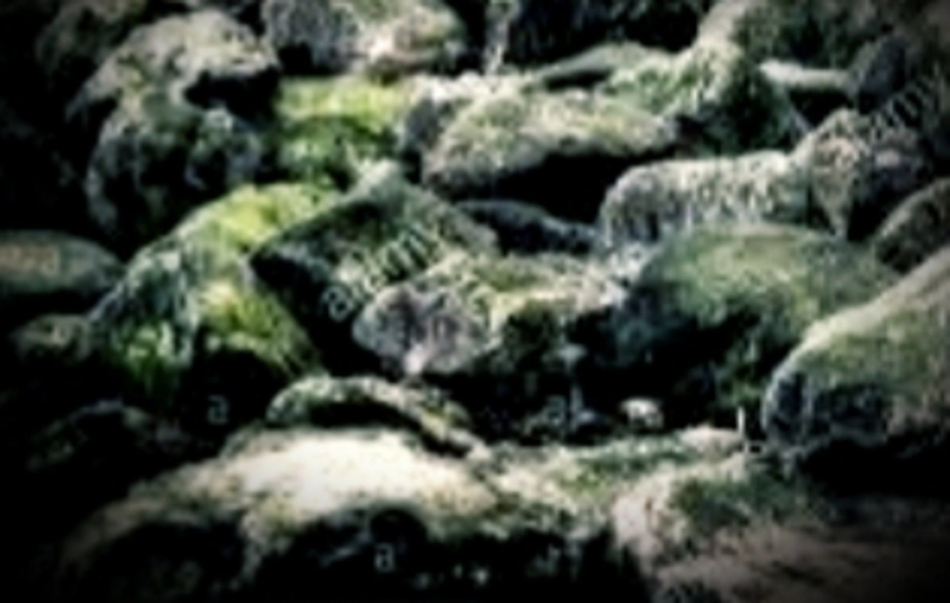 What is Bog Iron - and why "Privateer" it? - Bog Iron Slav